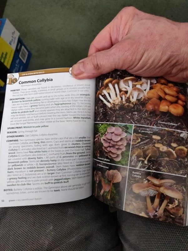 New pocket mushroom guide – SVIMS