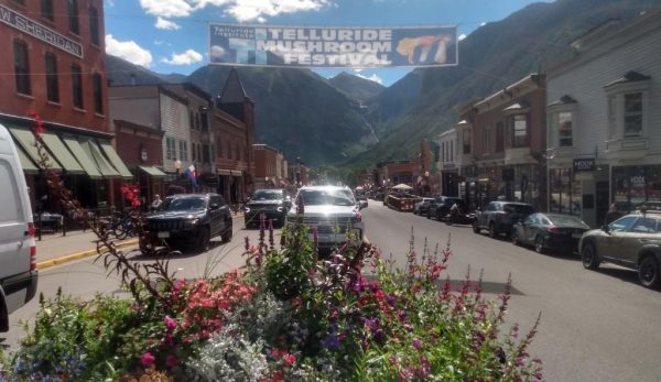 SVIMS – South Vancouver Island Mycological Society